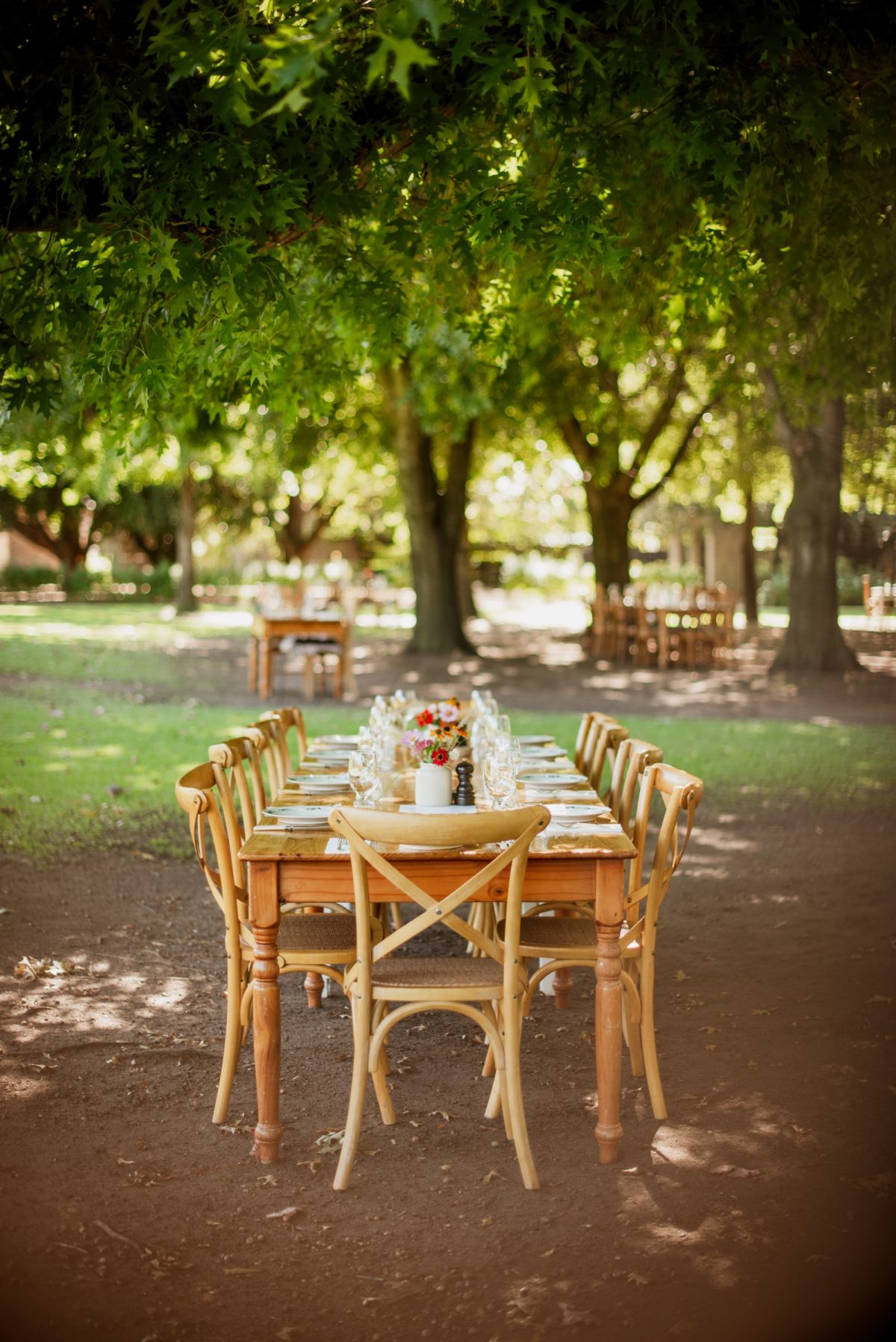 De Meye Gallery | The Table Restaurant