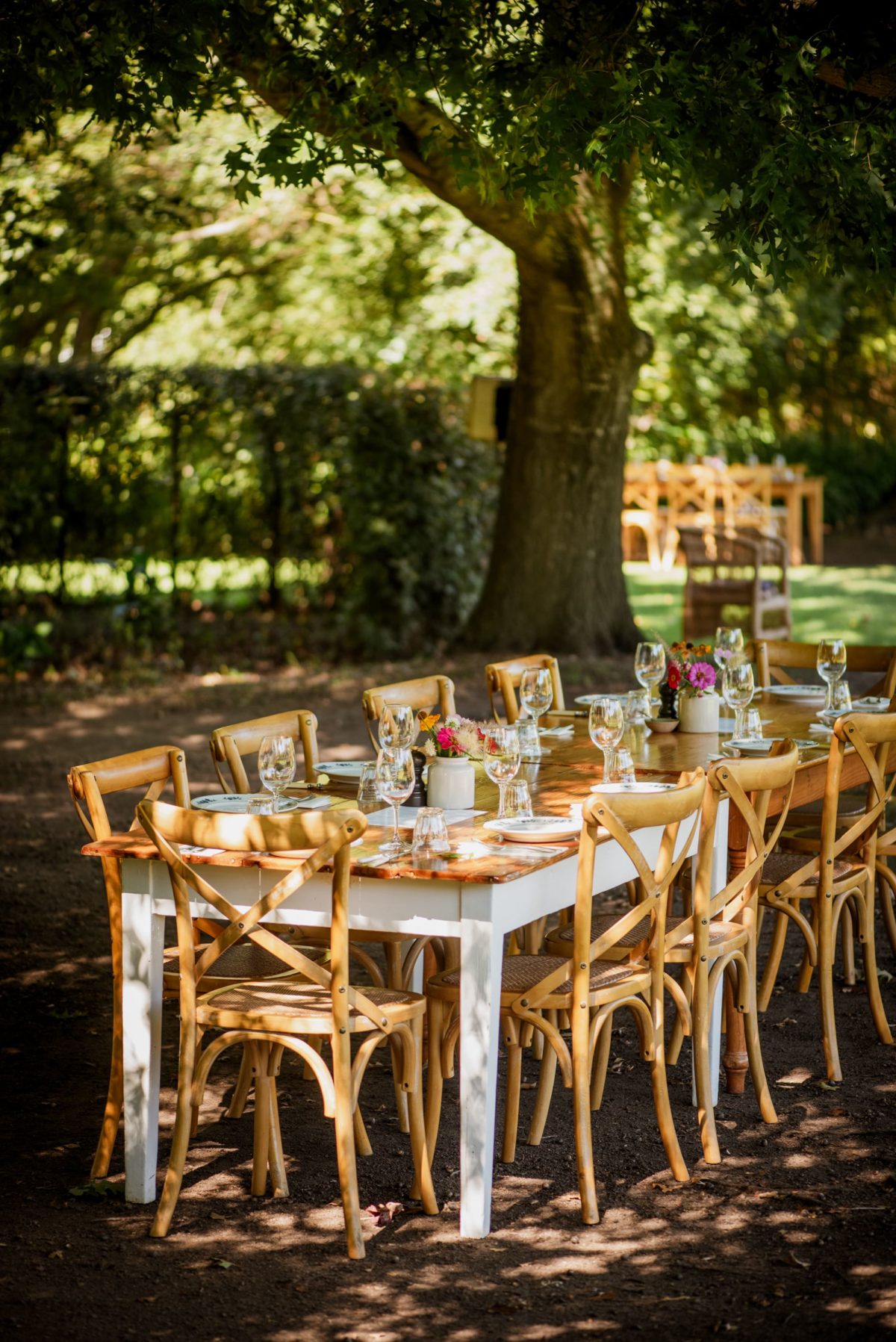 De Meye Gallery | The Table Restaurant