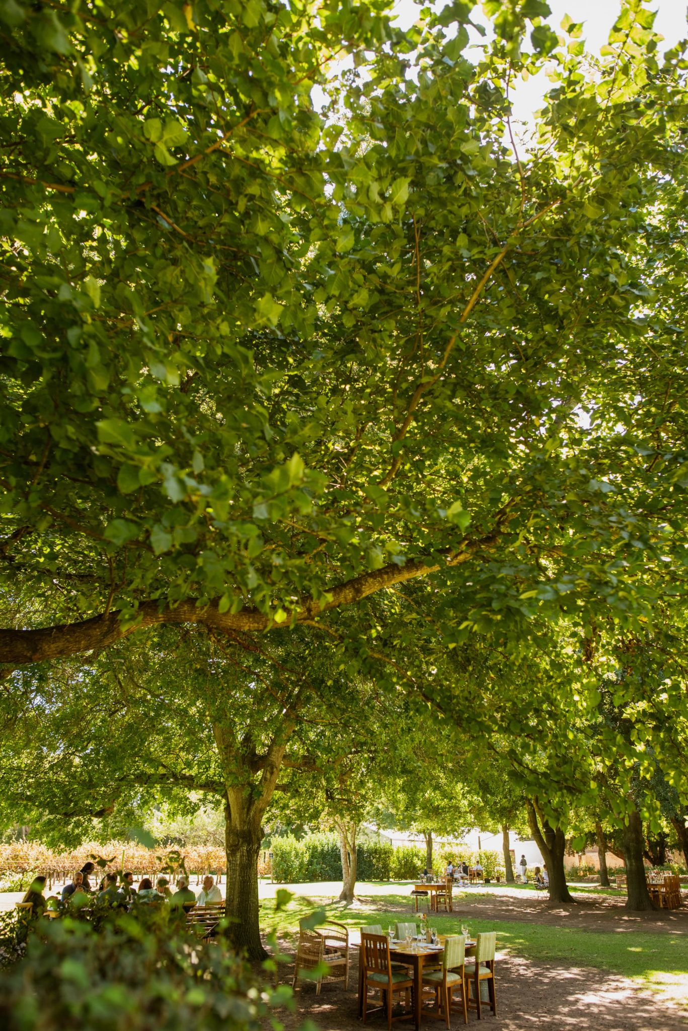 De Meye location | The Table Restaurant